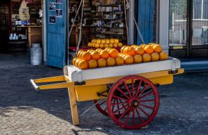 11 Typical Dutch Things The Dutch Are Known For (Find Out ...